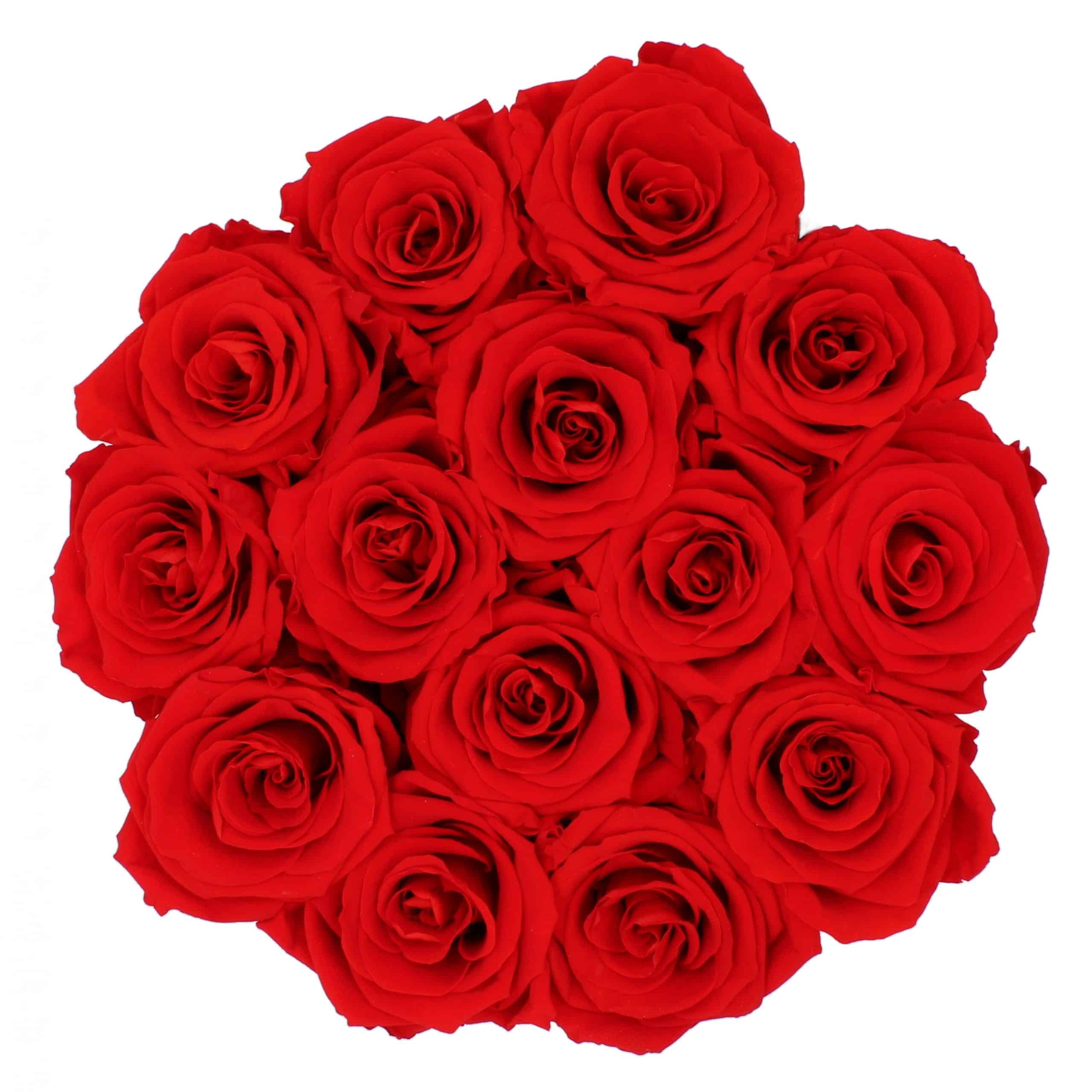 Rosenbox Schwarz mit Schleife | Rote Rosen | rund | Infinity